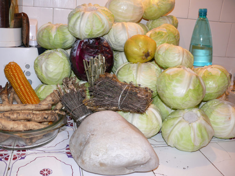 Anemia: Uthulla e mollës bën qeliza të kuqe. Dalin në dritë ushqime të ...